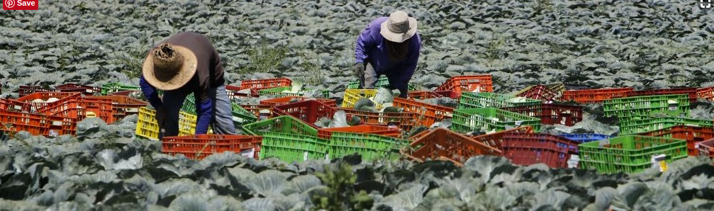 Aumento per lo stipendio minimo dal 1 dicembre | Italiani in Israele